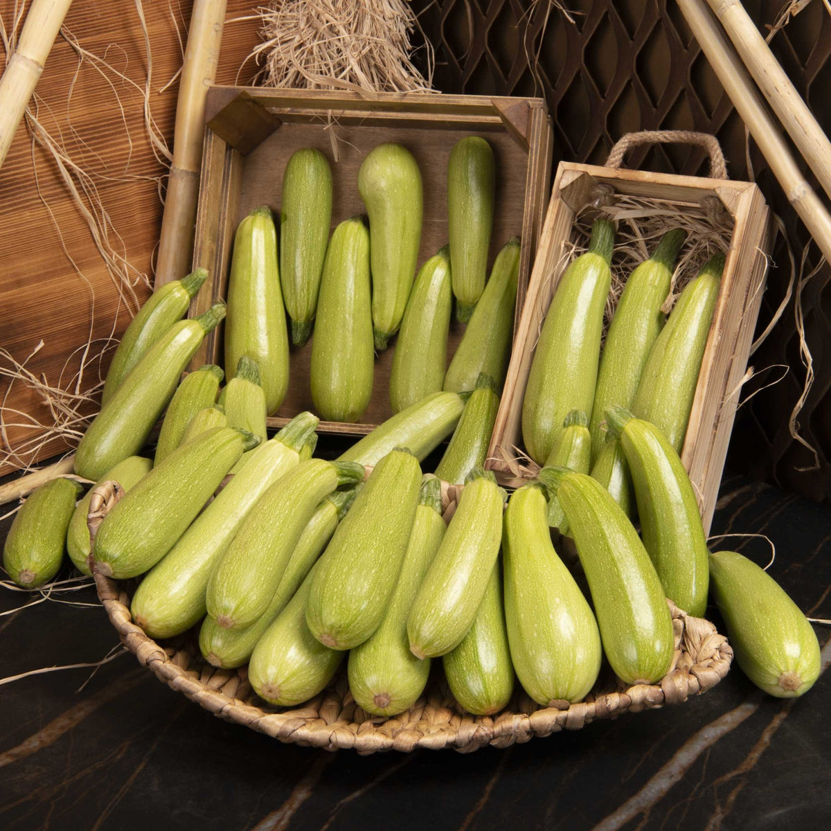 Fairy Gourmet - Fresh Zucchini - Natural Vegetables – Panayir Gourmet