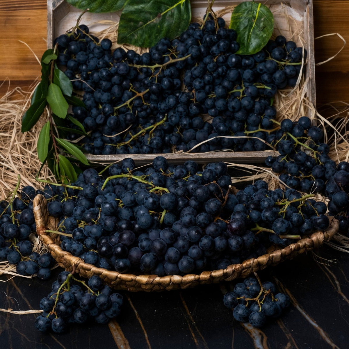 Fairy Gourmet - Black Grapes - Quality Grape Varieties – Panayir Gourmet